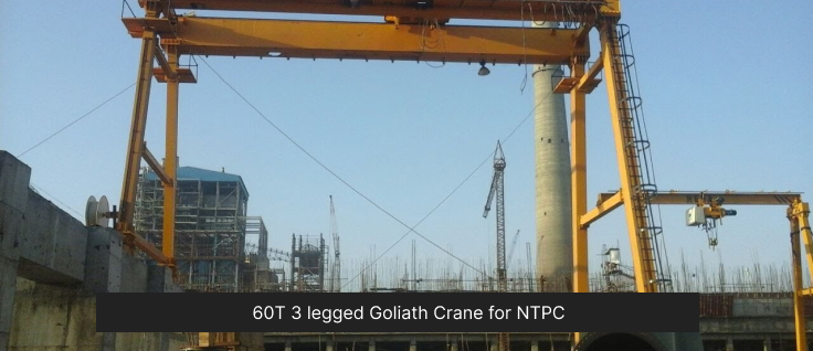 Goliath / Gantry Cranes - Reva Industries